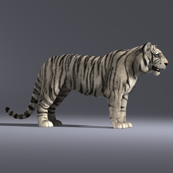 maya tigers 2 fur