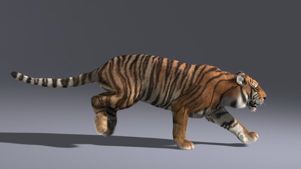 maya tigers 2 fur