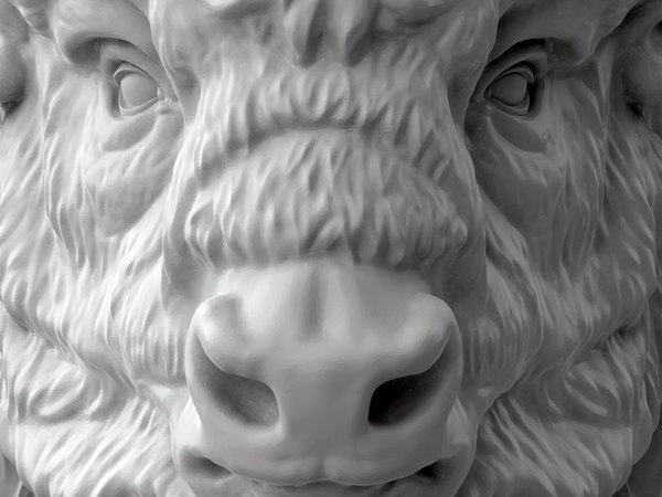 modelo 3d Escultura de cabeza de búfalo de bisonte - TurboSquid 1711502