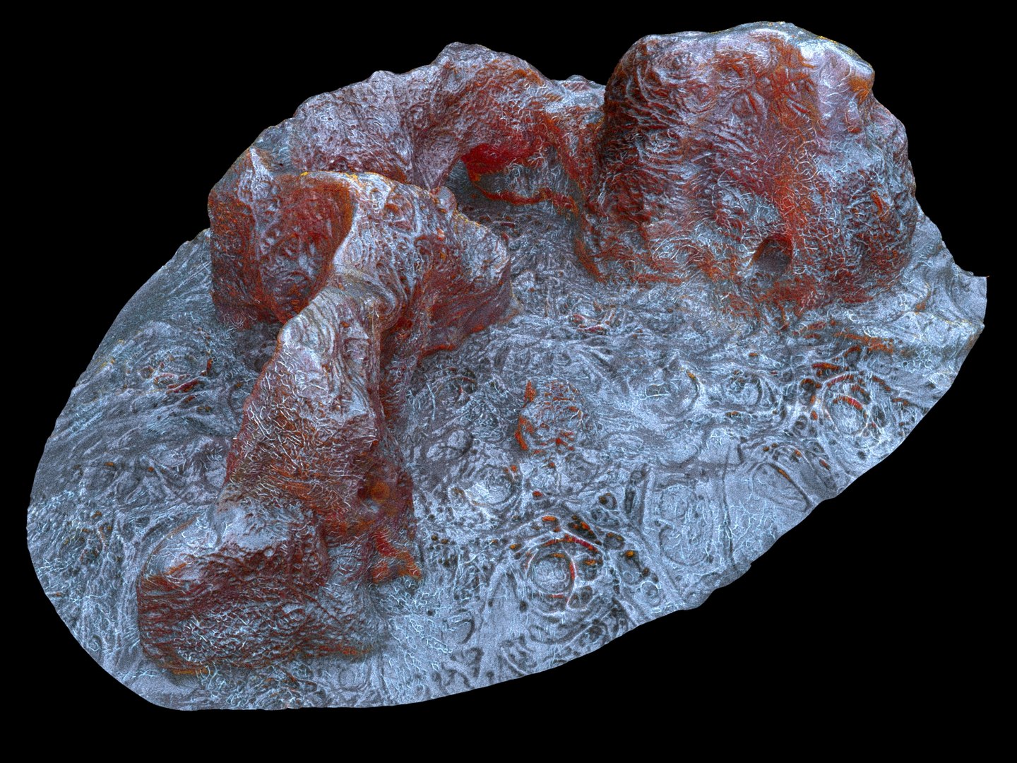 Alien Life Forms 3D Model - TurboSquid 1417905