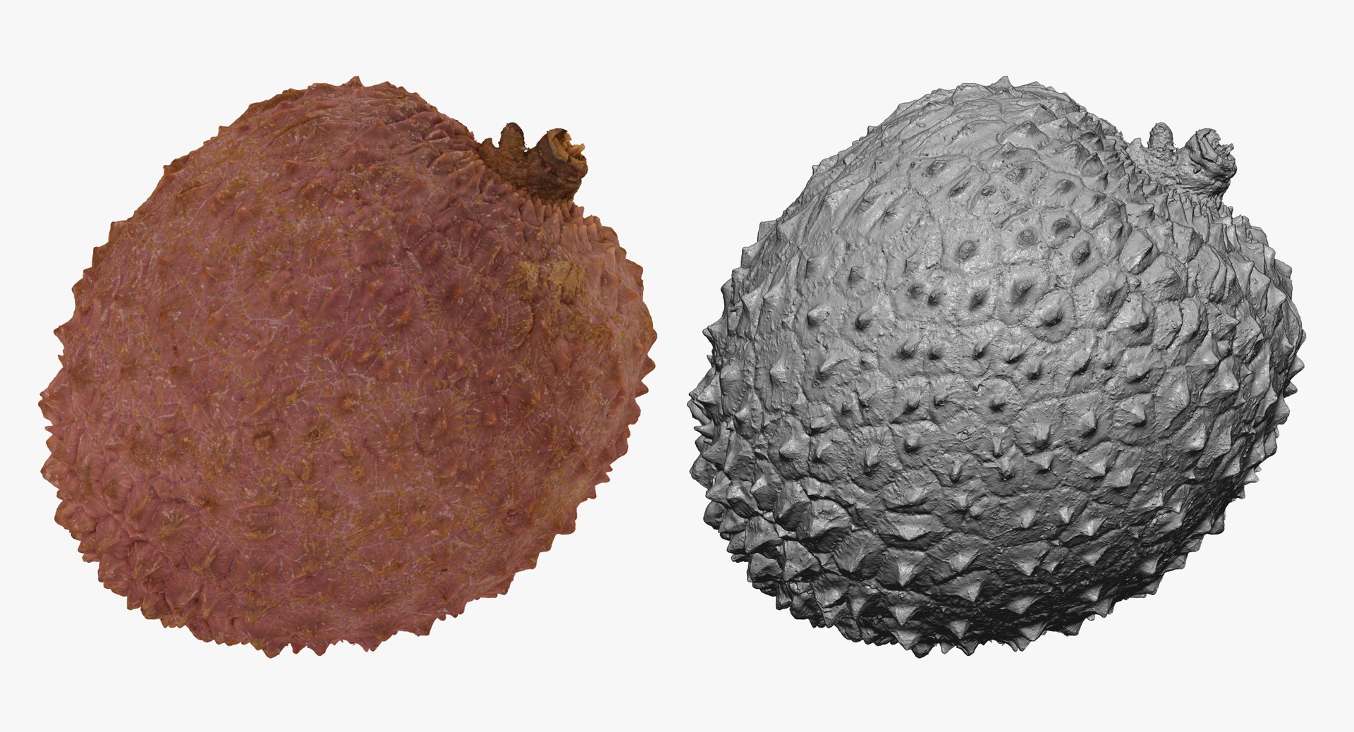 3D Lychees Collection 03 - 2 Models RAW Scans - TurboSquid 1830639