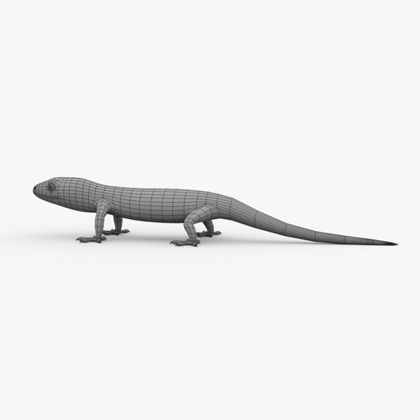 modelo 3d lizard basemesh - TurboSquid 2006954