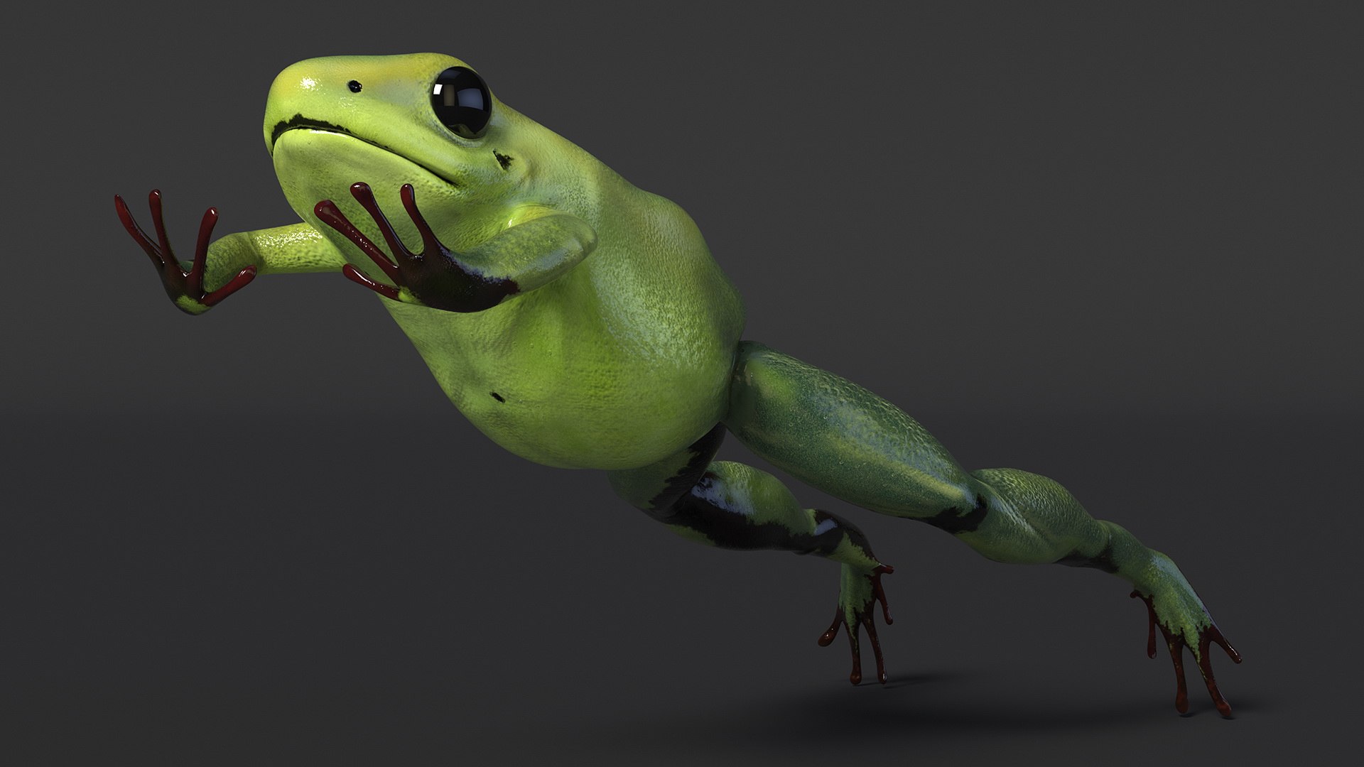 Green Phyllobates Terribilis Jumping Pose Model - TurboSquid 2189629