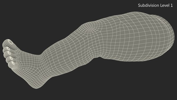 Baby cpr dummy leg model - TurboSquid 1476105