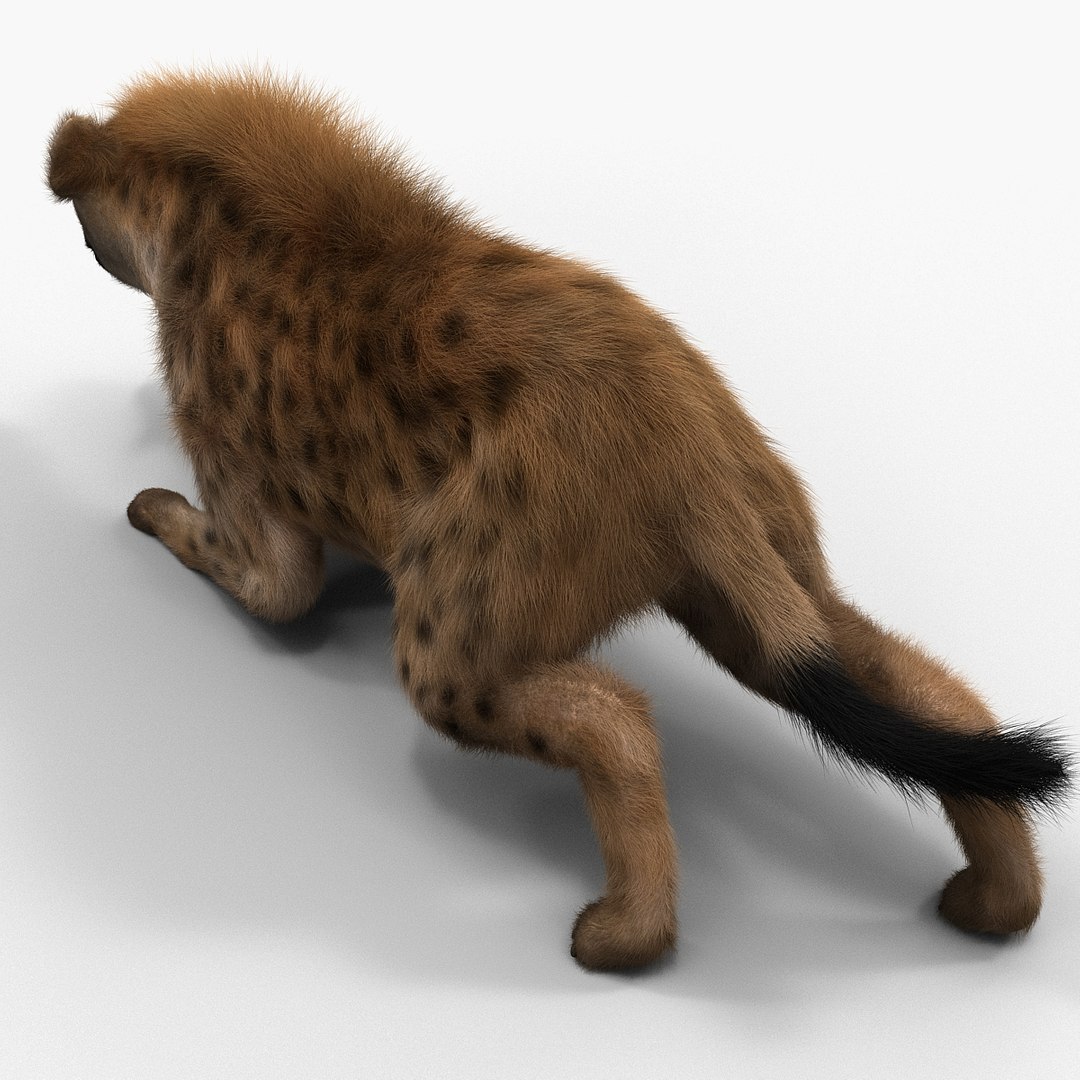 3d hyena pose 5 fur model