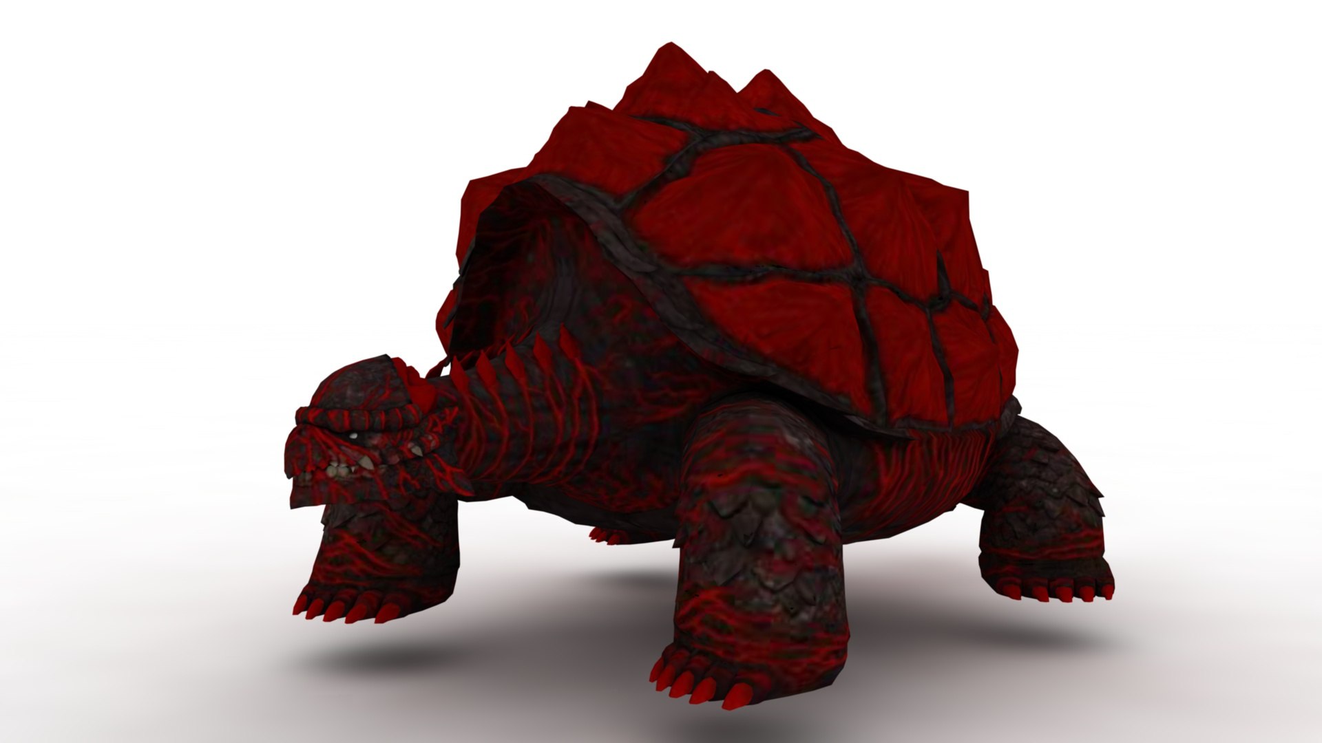Tortoise 3D Model - TurboSquid 2267355