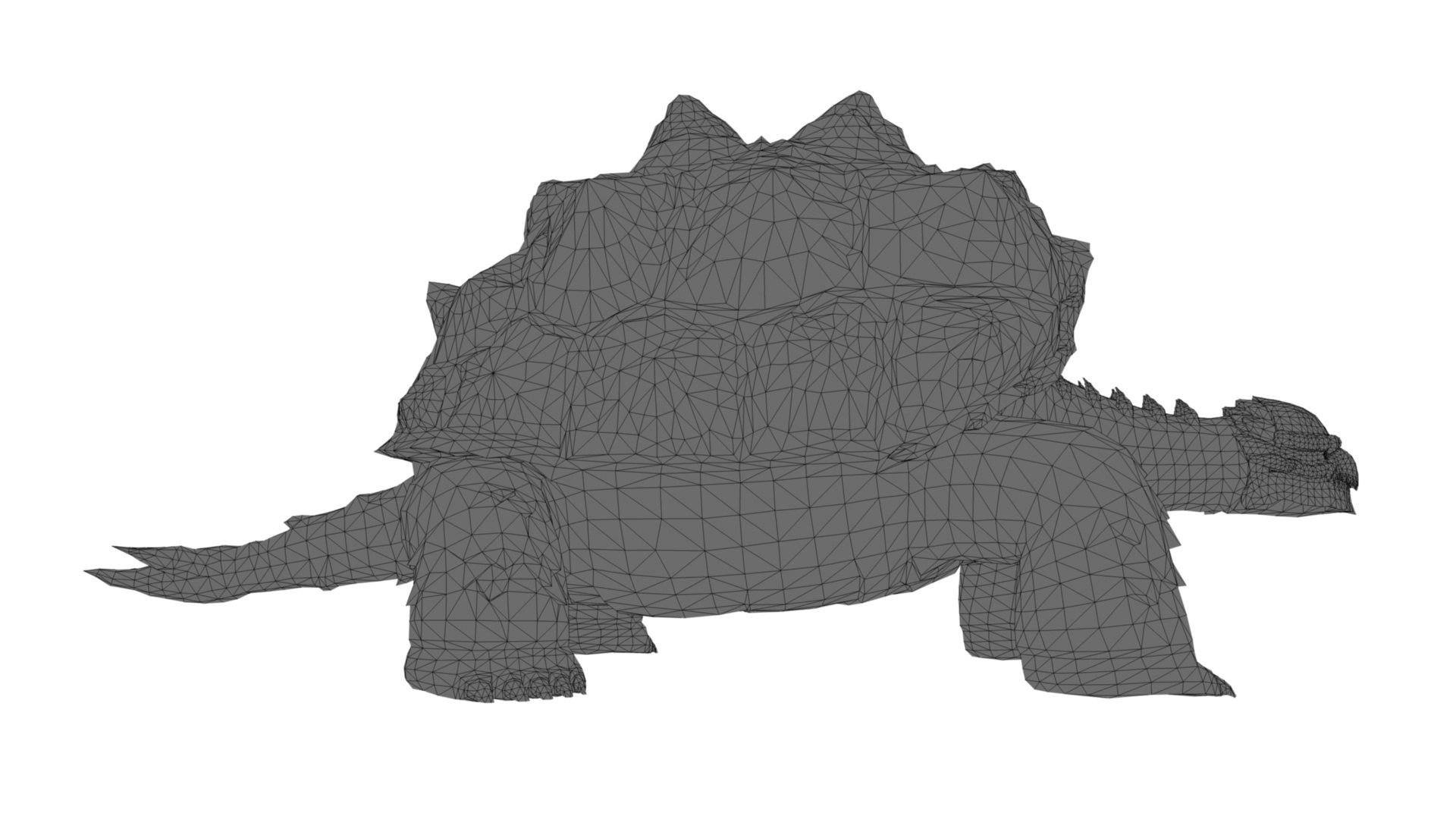 Tortoise 3D Model - TurboSquid 2267355