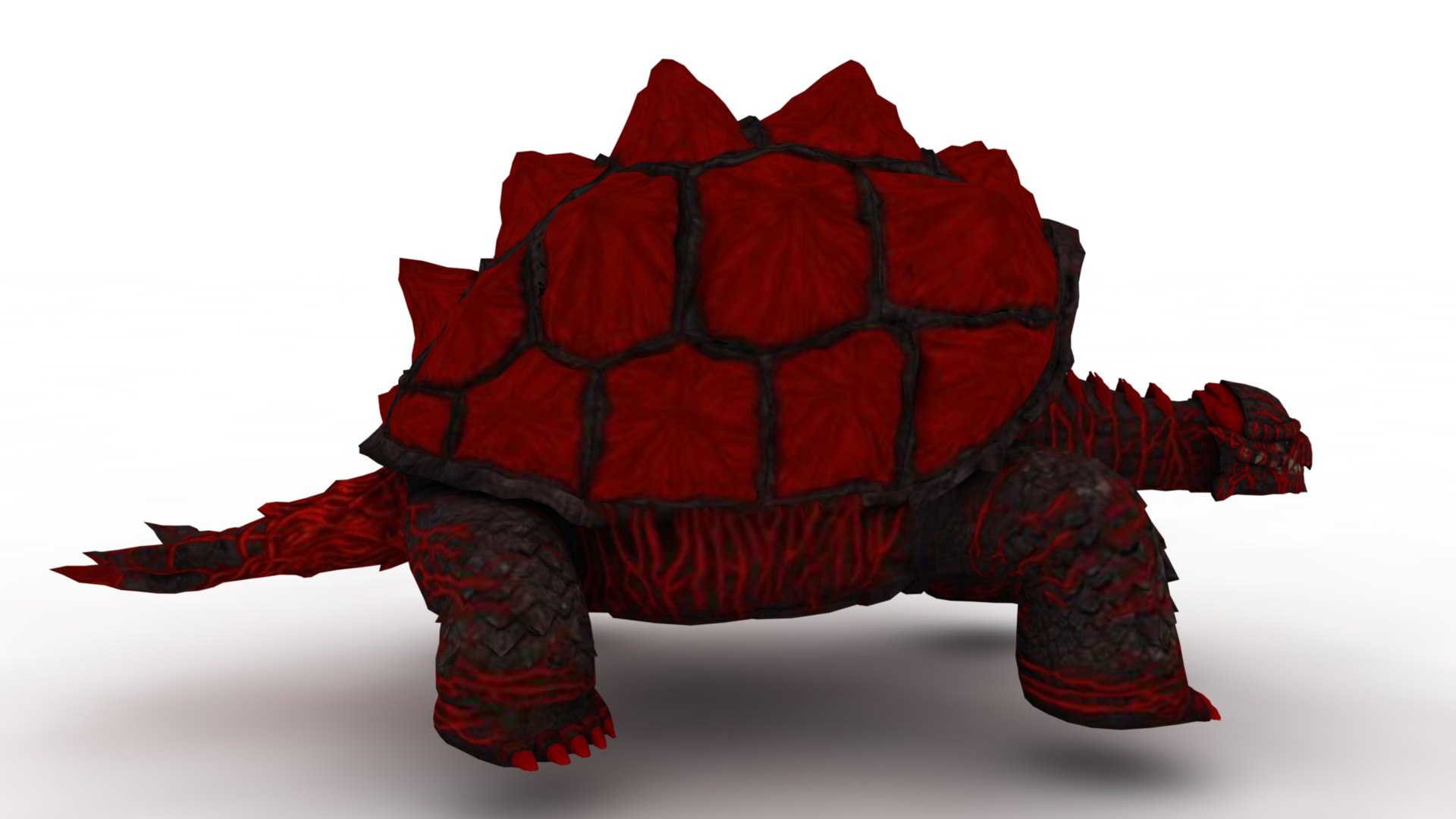 Tortoise 3D Model - TurboSquid 2267355