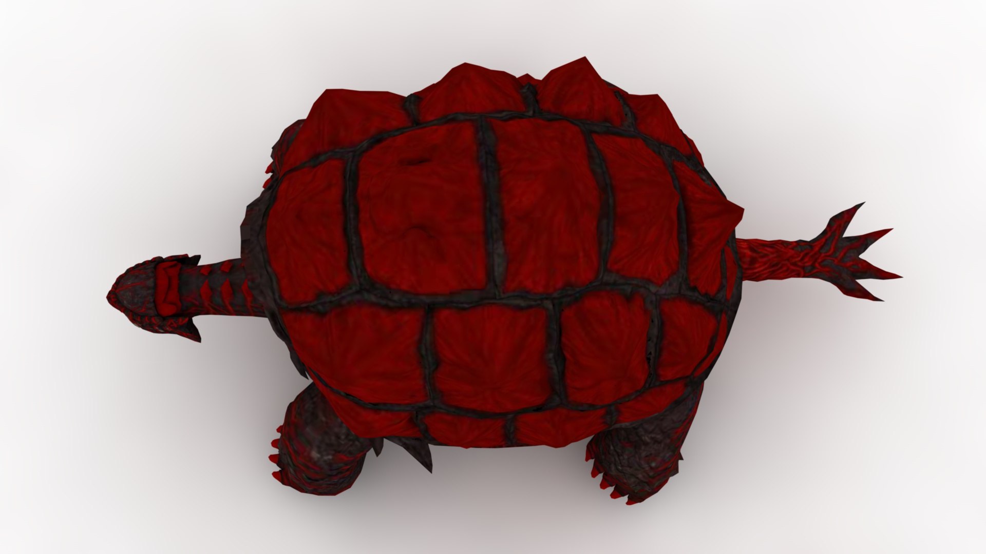 Tortoise 3D Model - TurboSquid 2267355