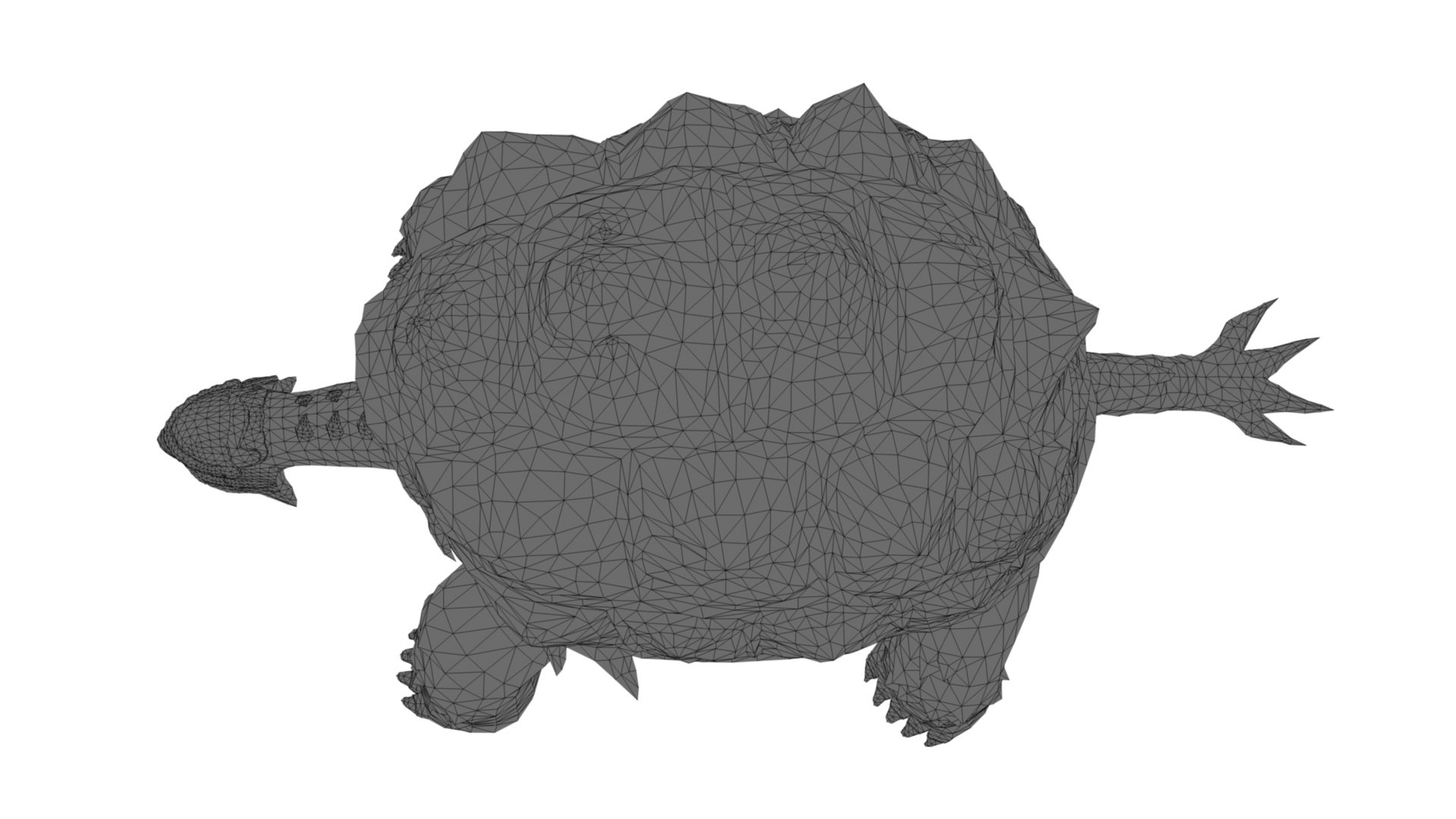 Tortoise 3D Model - TurboSquid 2267355