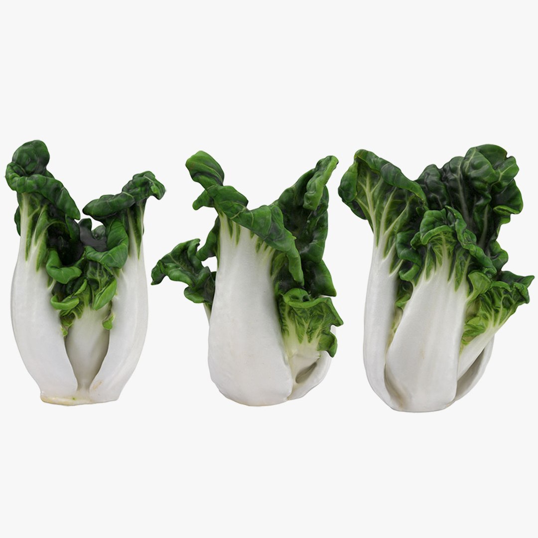 3D model White Bok Choy Collection - TurboSquid 2173078