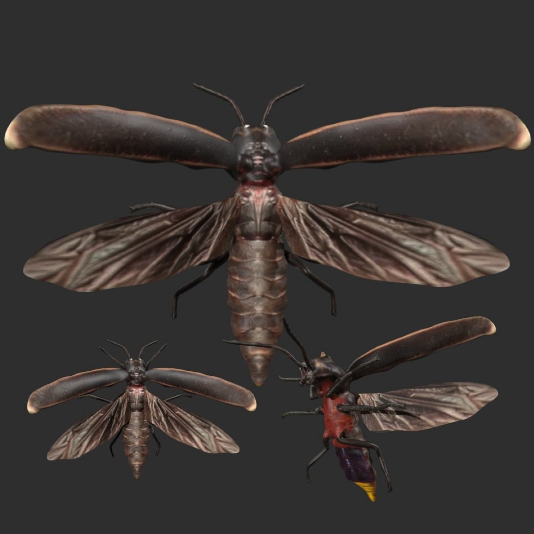3D Rigged Firefly - TurboSquid 1781904