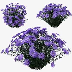 3D Aster Models - Browse & Download Formats - TurboSquid
