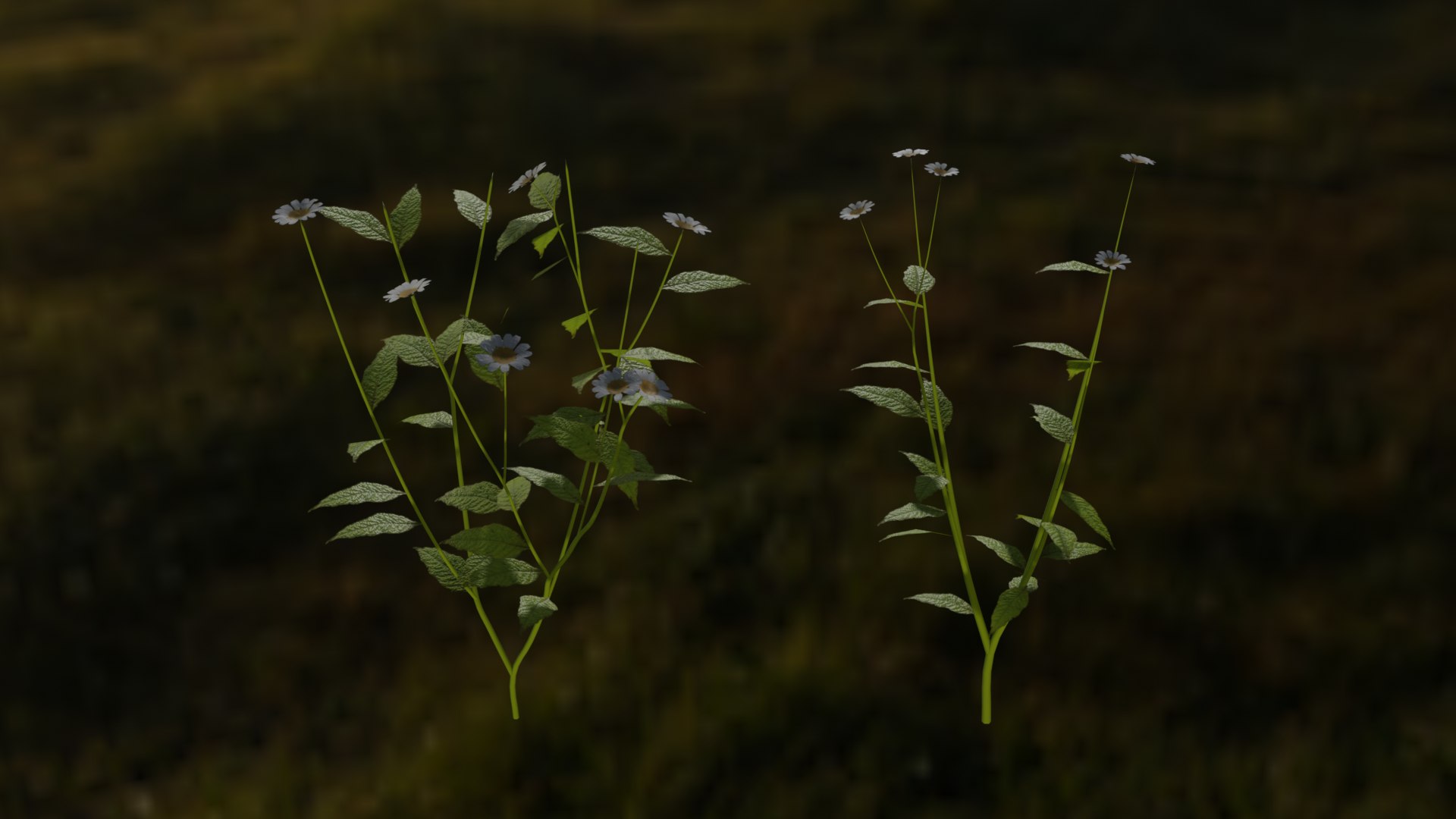 Plant flora 3D model - TurboSquid 1665701