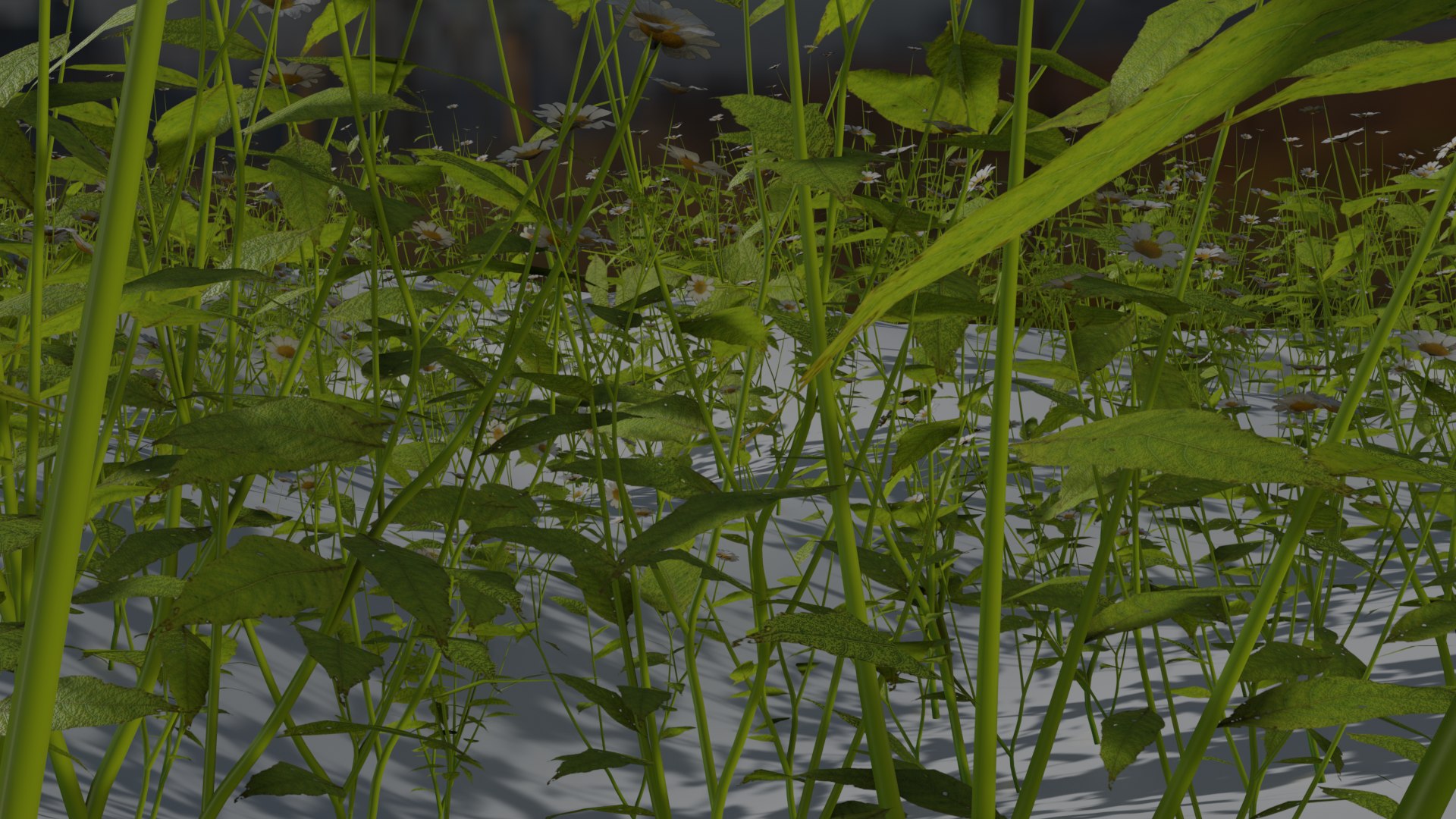 Plant flora 3D model - TurboSquid 1665701
