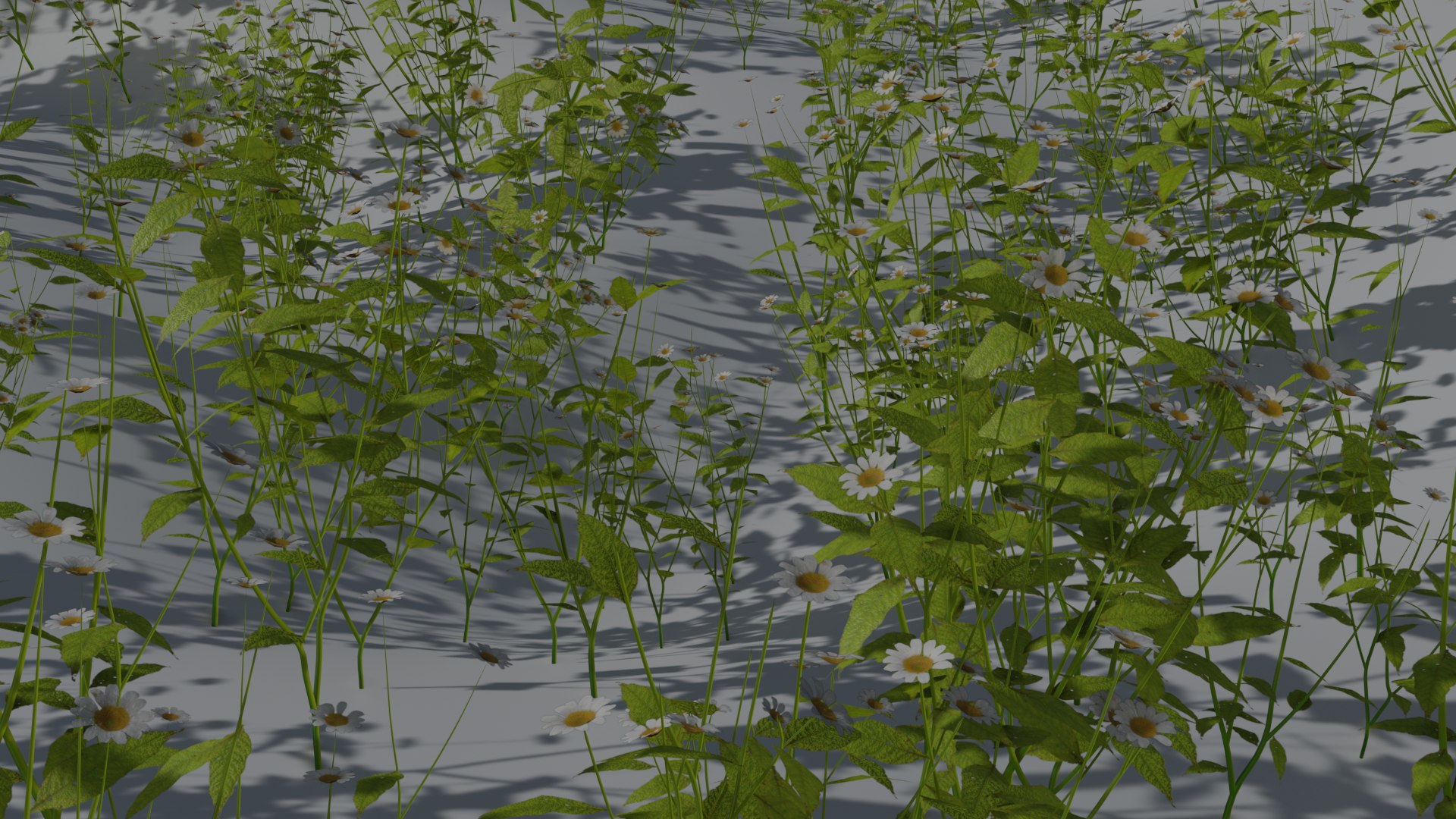 Plant flora 3D model - TurboSquid 1665701