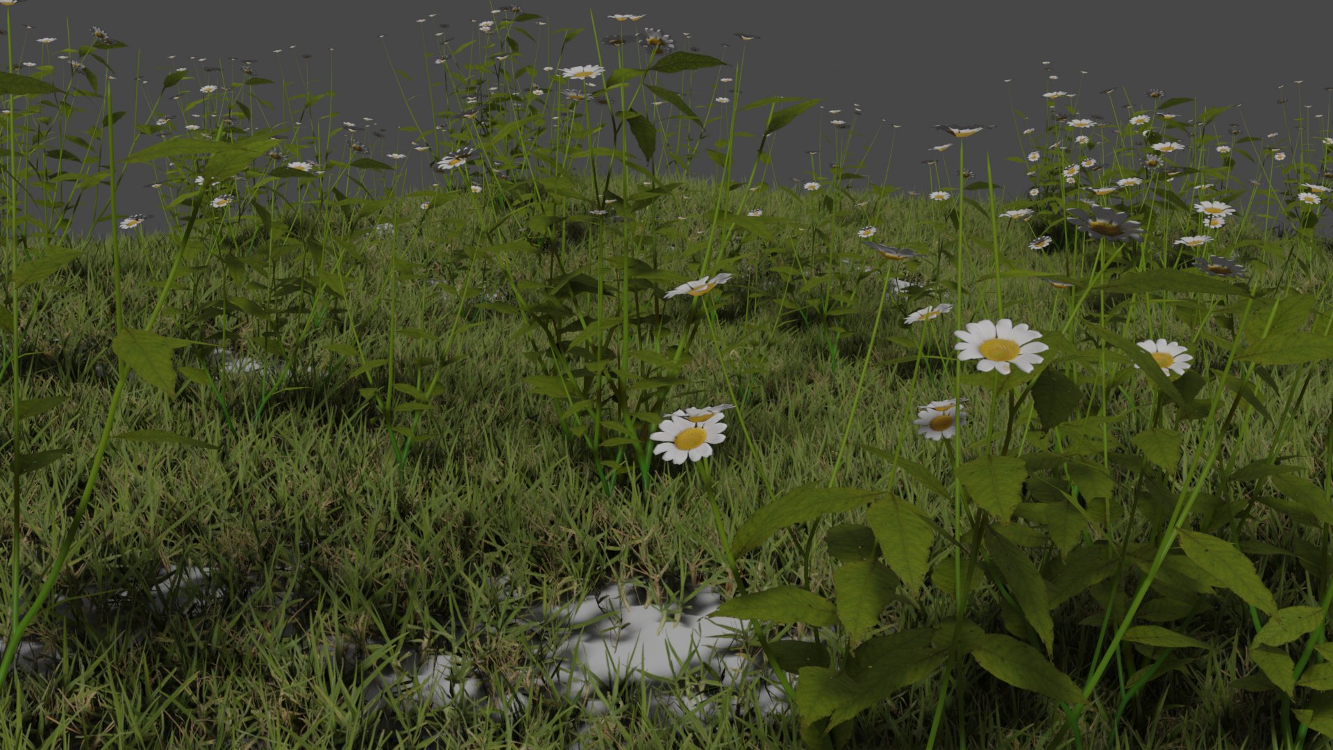 Plant flora 3D model - TurboSquid 1665701