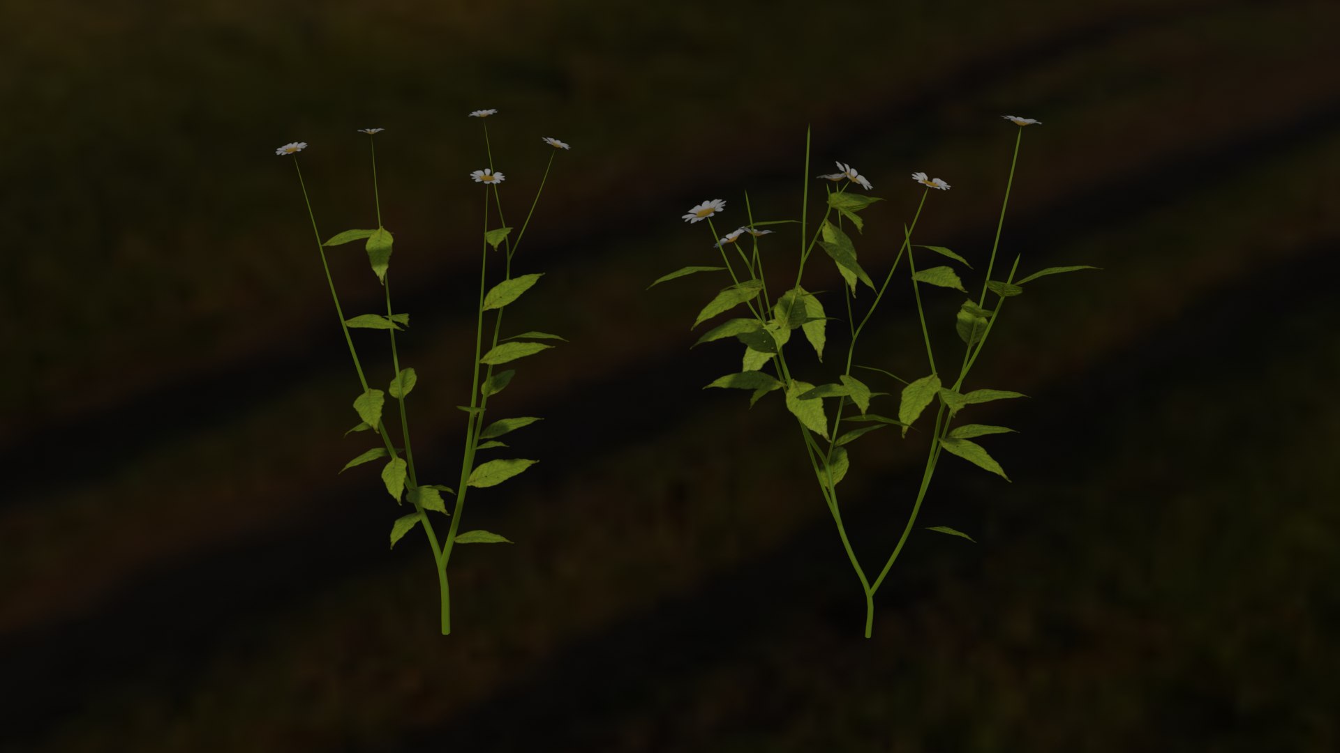 Plant flora 3D model - TurboSquid 1665701