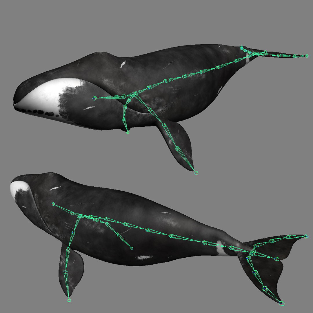 bowhead bow head 3d obj