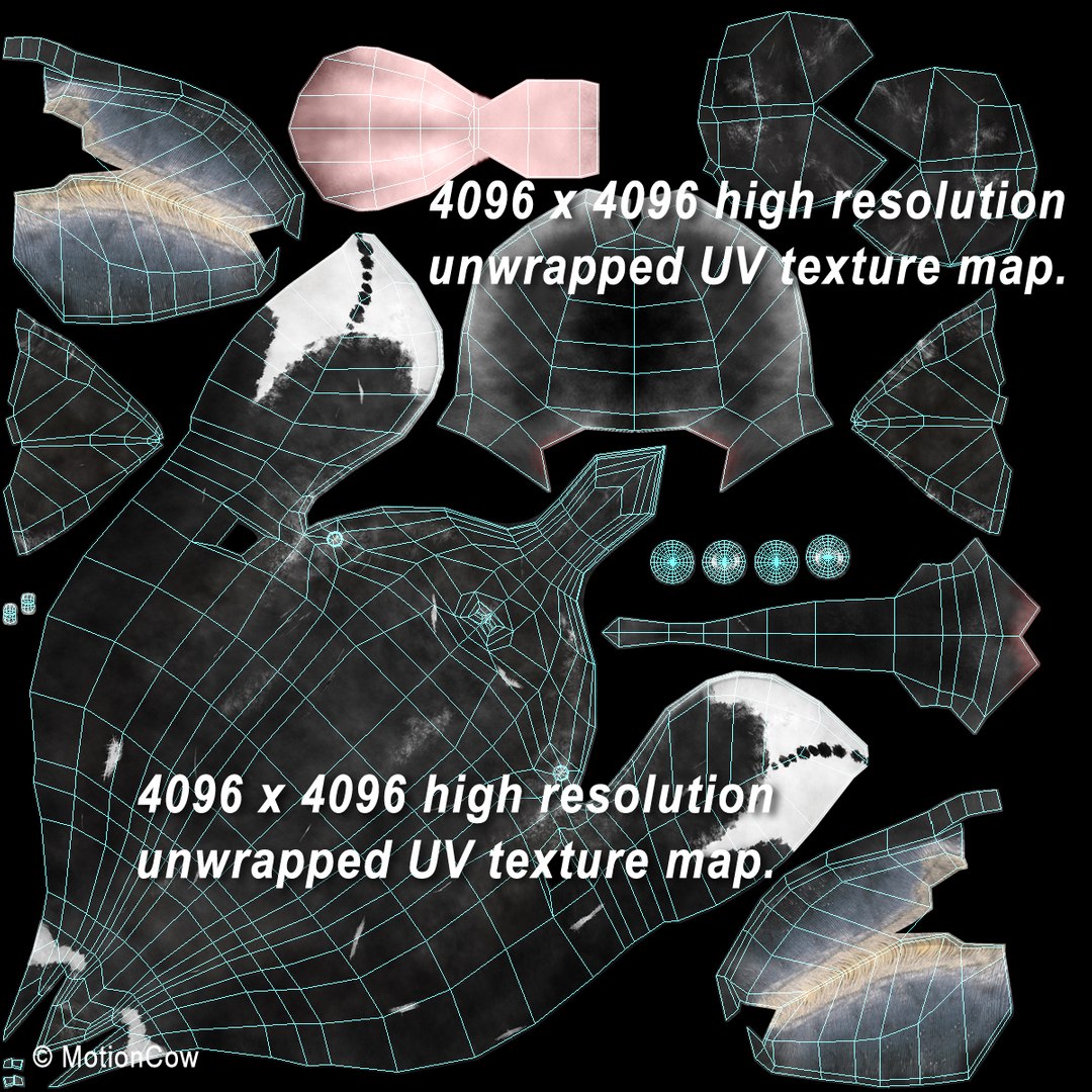 Bowhead Bow Head 3d Obj