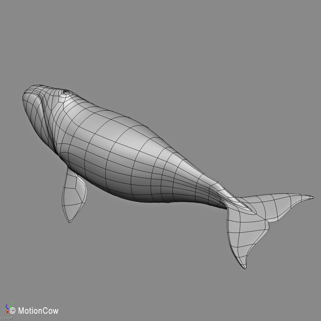 Bowhead Bow Head 3d Obj