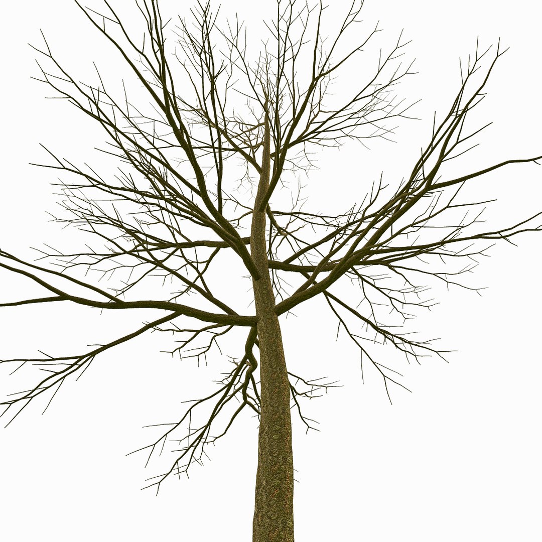 Obj Tree Environment