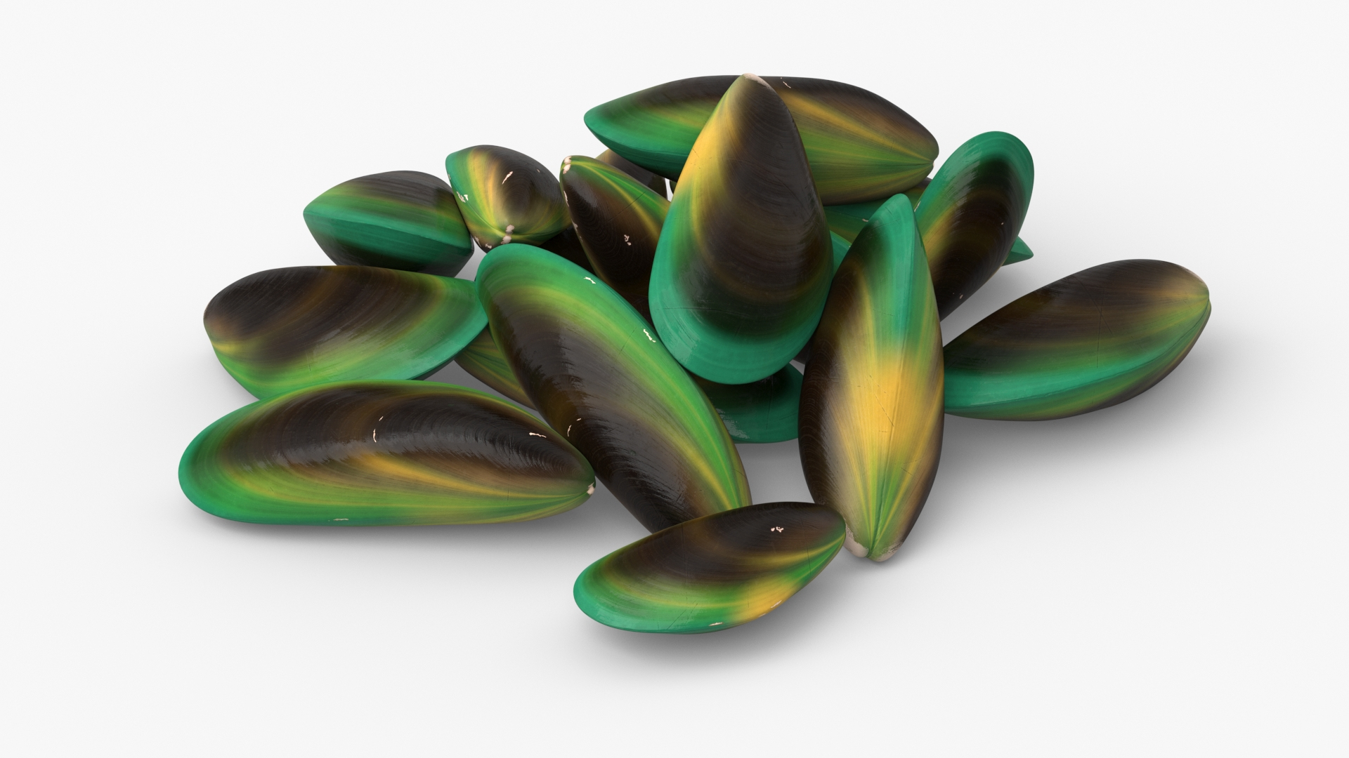 Pile Of Green Lipped Clams 3D Model - TurboSquid 2227969