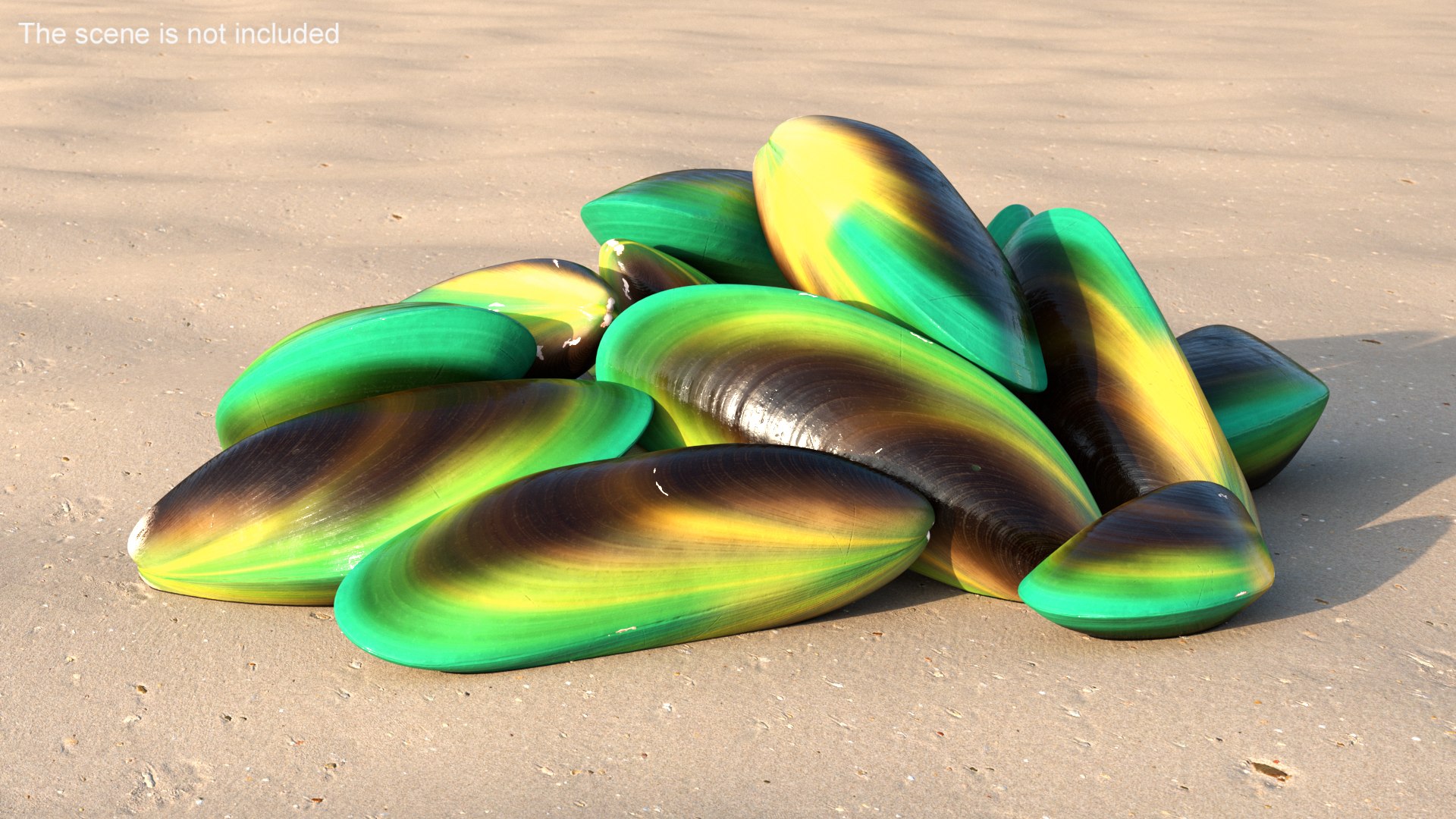 Pile Of Green Lipped Clams 3D Model - TurboSquid 2227969