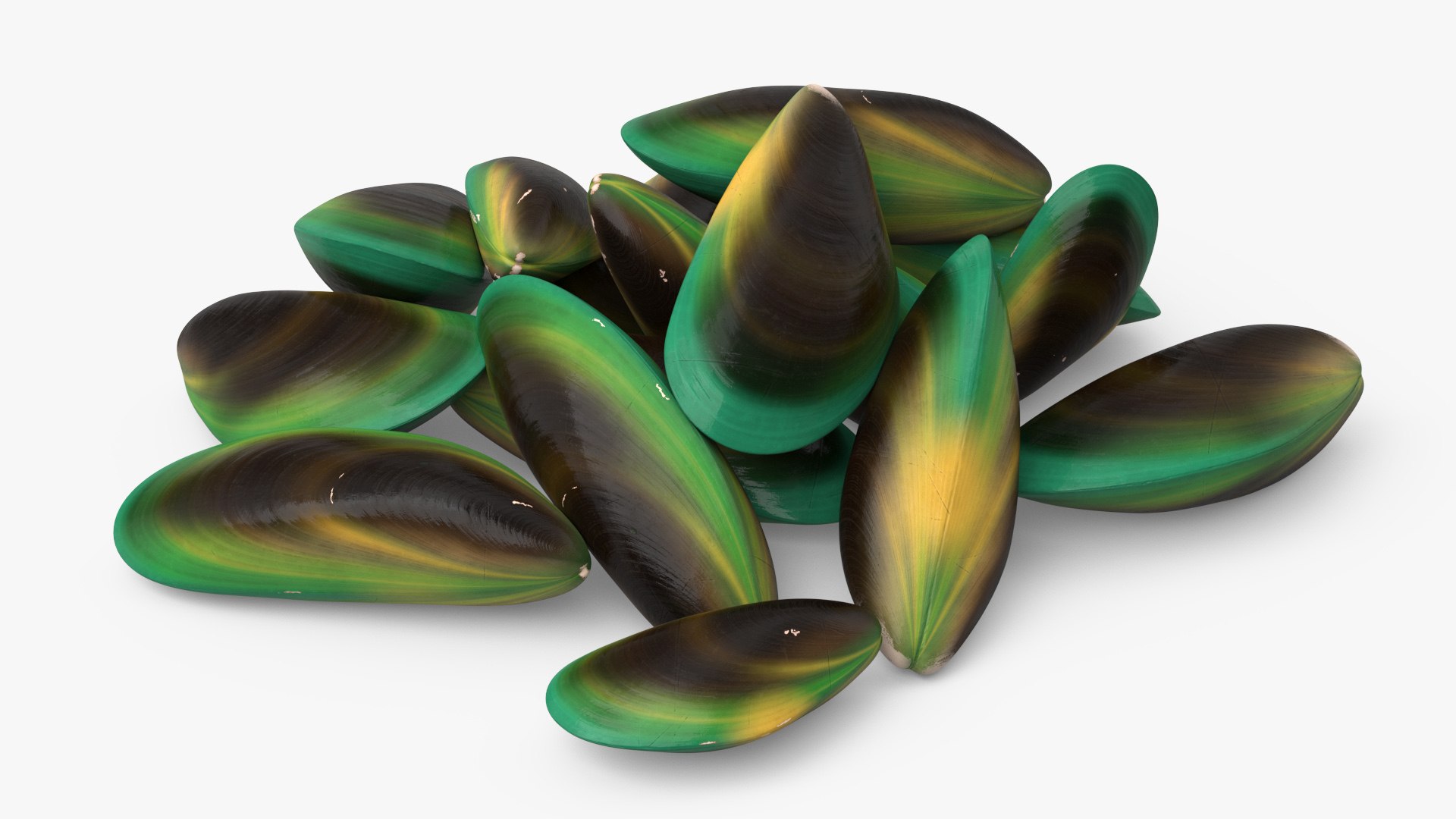 Pile Of Green Lipped Clams 3D Model - TurboSquid 2227969