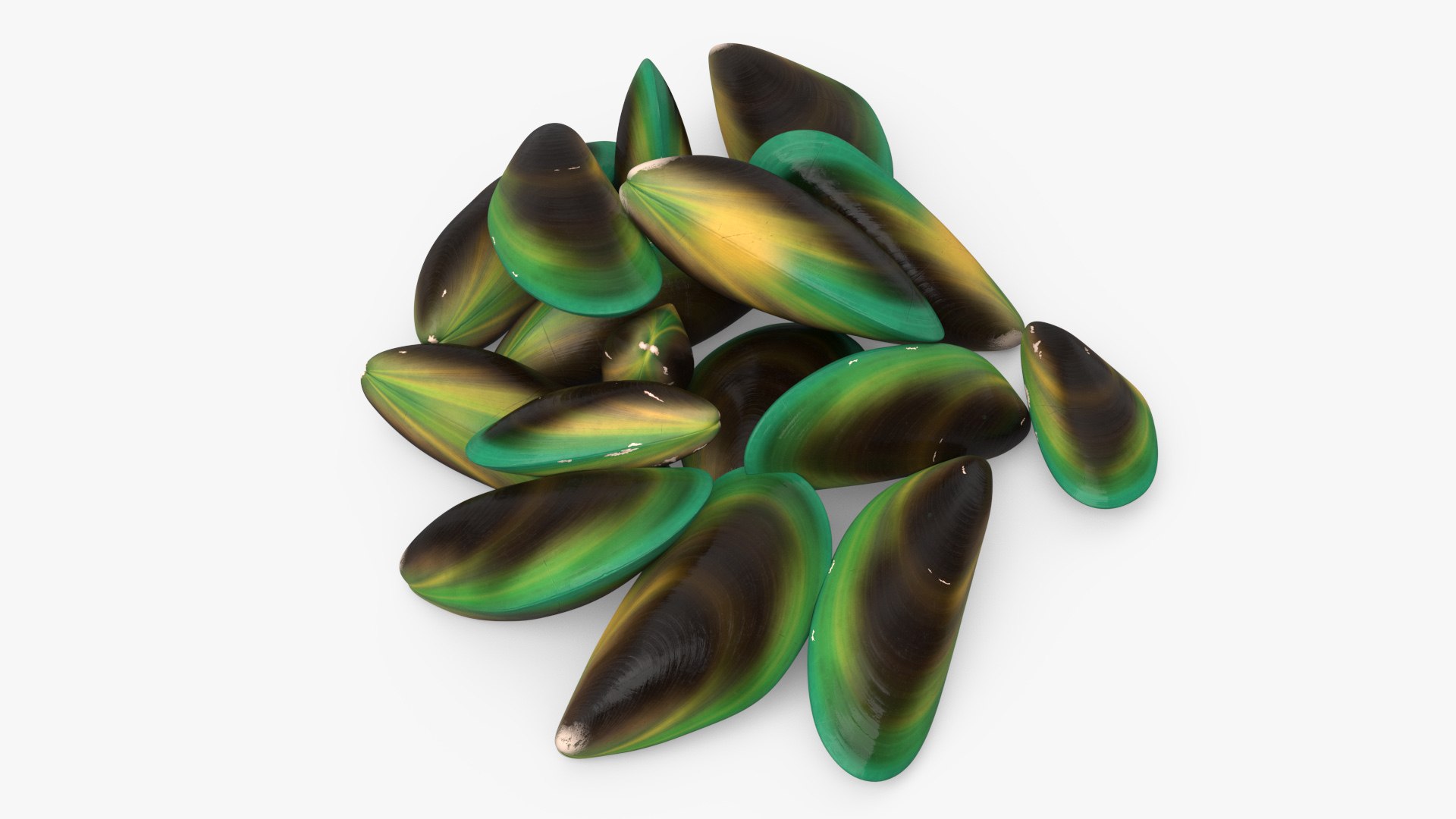 Pile Of Green Lipped Clams 3D Model - TurboSquid 2227969