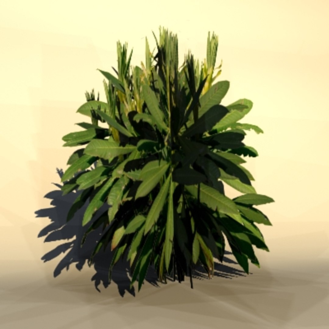 3ds Max Bushes Pc