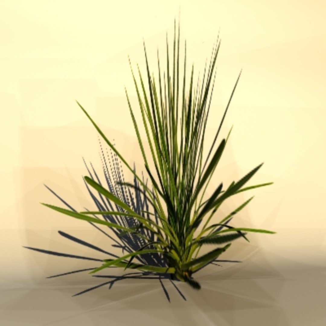3ds Max Bushes Pc