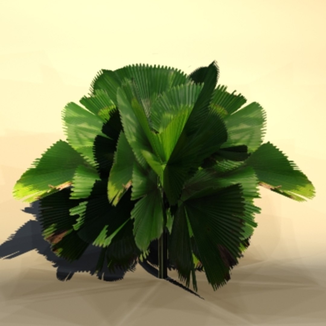 3ds Max Bushes Pc