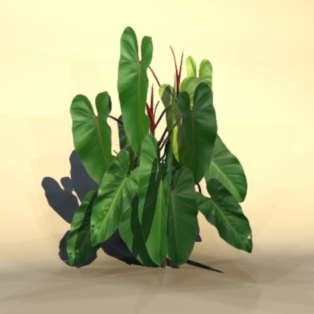 3ds Max Bushes Pc