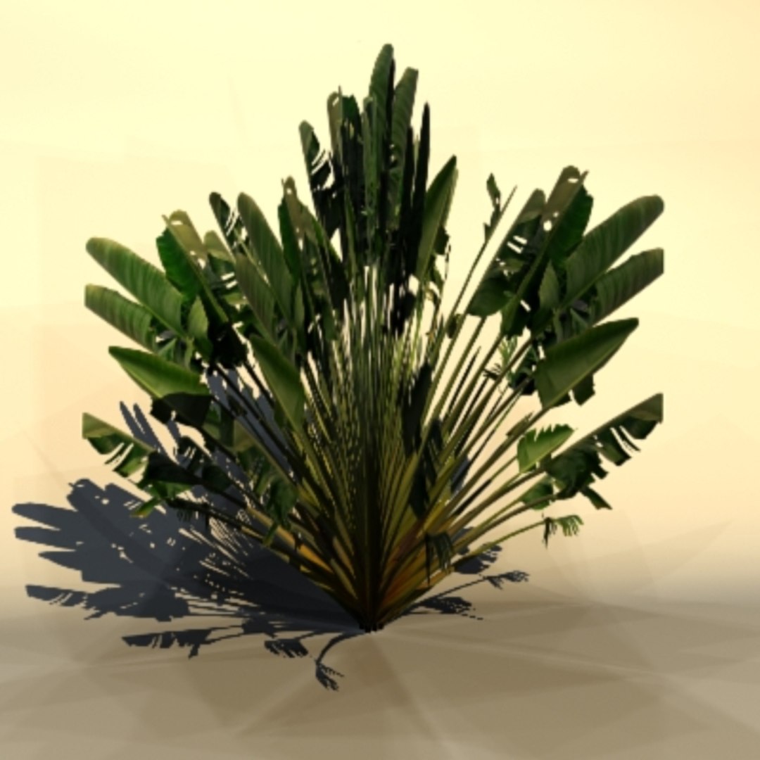 3ds Max Bushes Pc