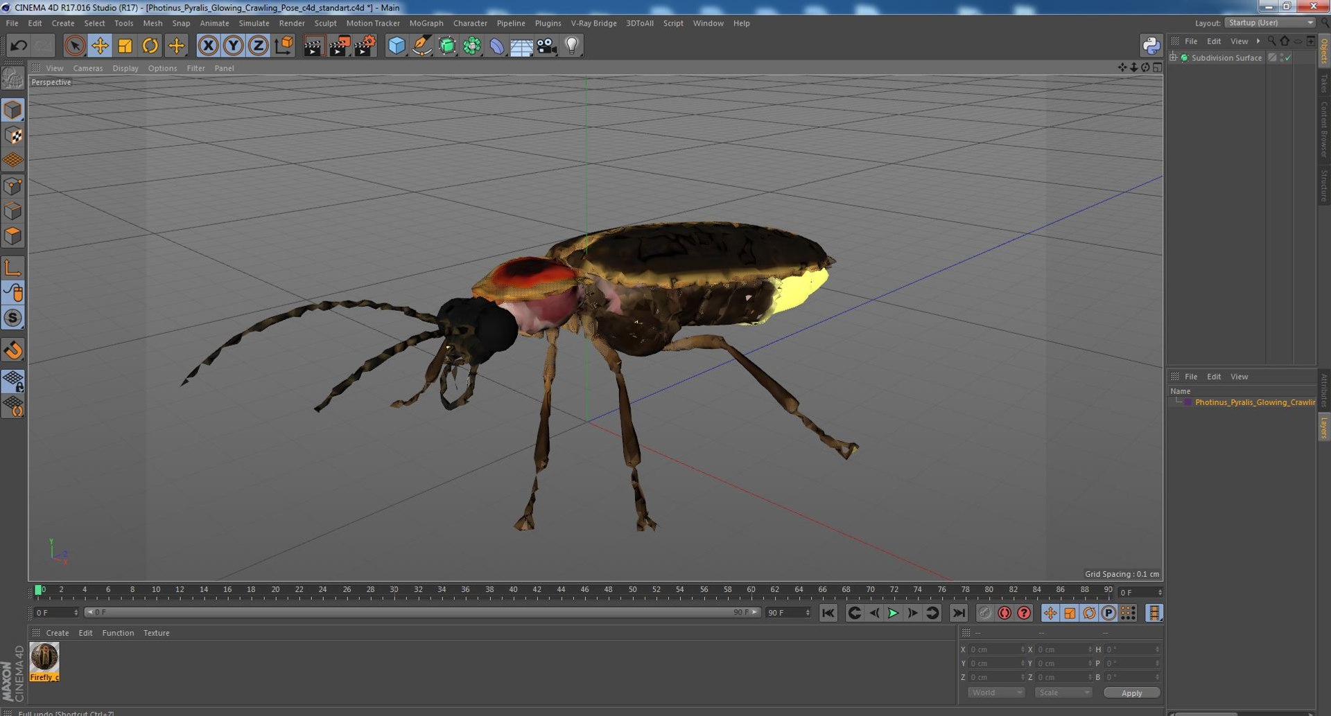 Photinus Pyralis Glowing Crawling Pose 3D - TurboSquid 2171884