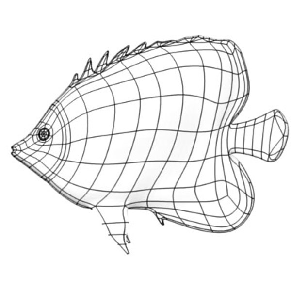 tropical fishes 3d model