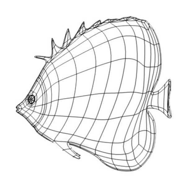 tropical fishes 3d model