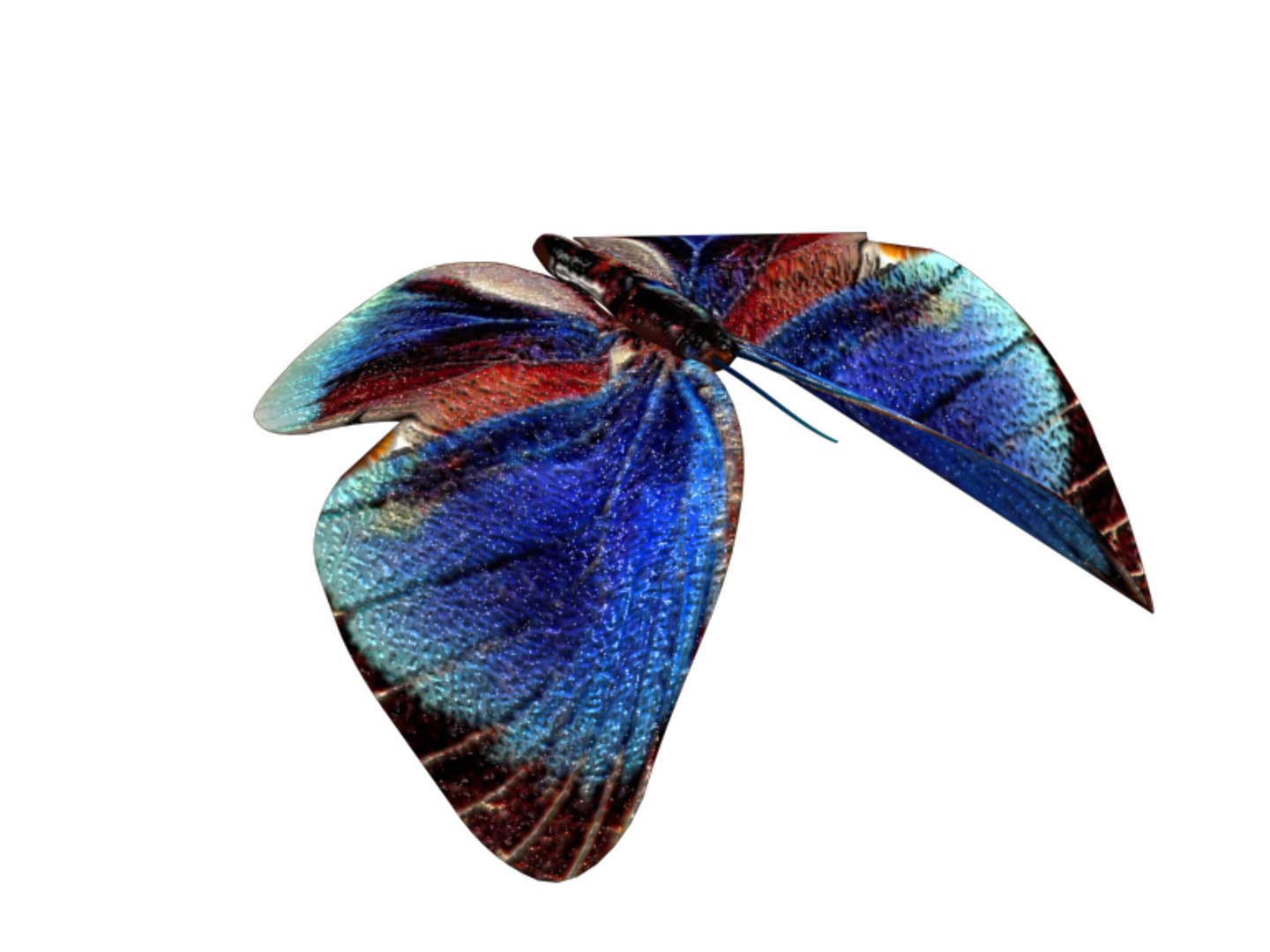 Butterfly 3d Model