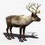 Reindeer Modeled 3d Model