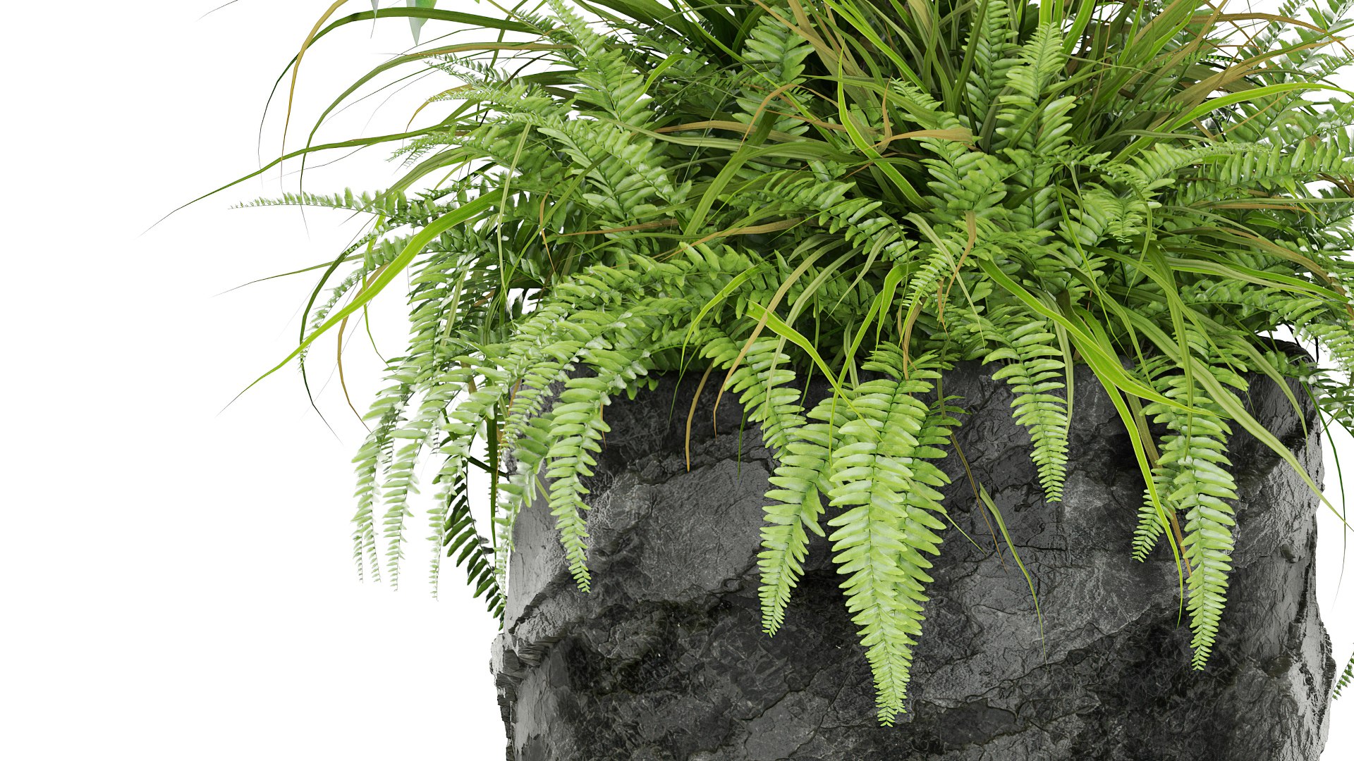 Plants 3D Model - TurboSquid 1700771