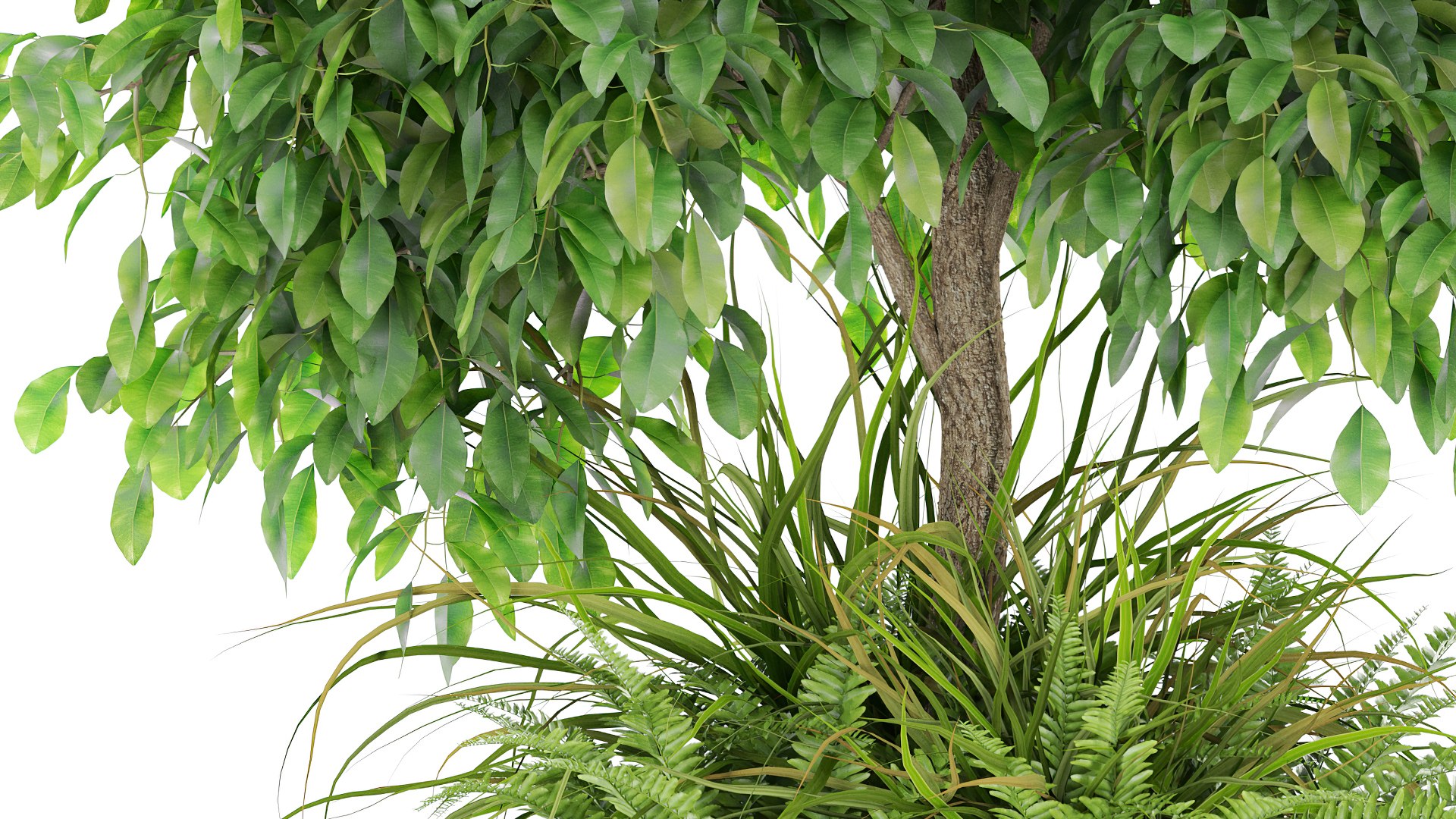 Plants 3D Model - TurboSquid 1700771