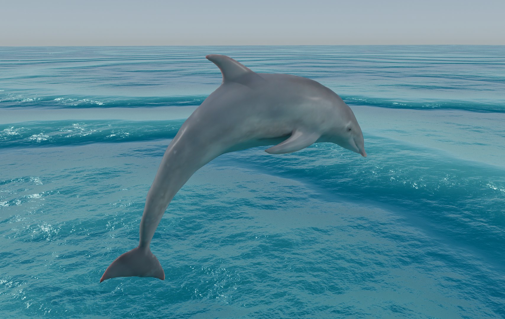 Dolphin 3D Model - TurboSquid 2267634