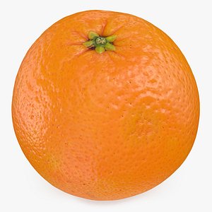 3D Orange Models - Browse & Download Formats - TurboSquid