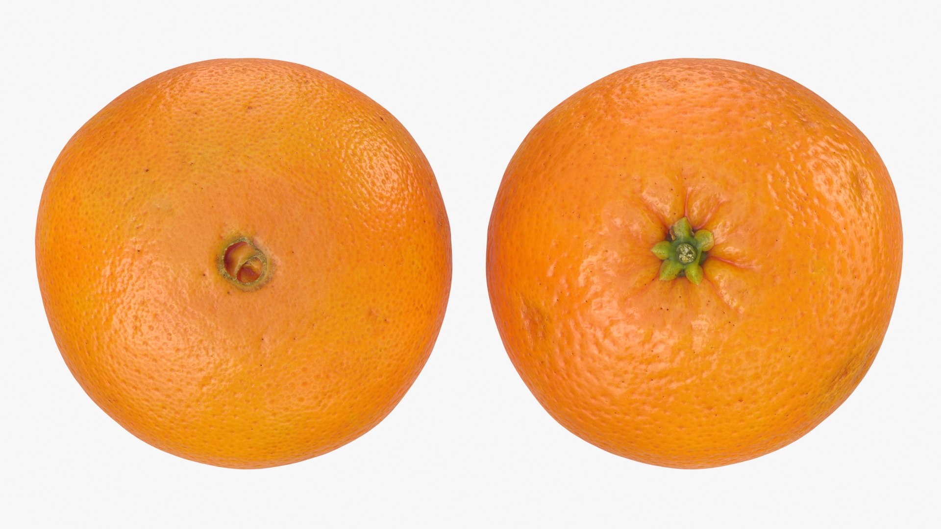 3D Orange - TurboSquid 2231296