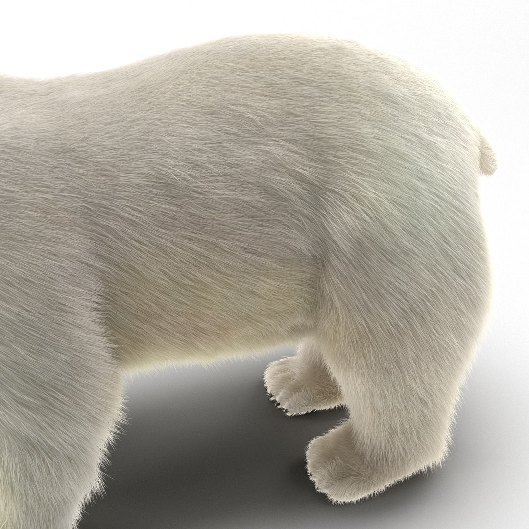 polar bear fur rigged max