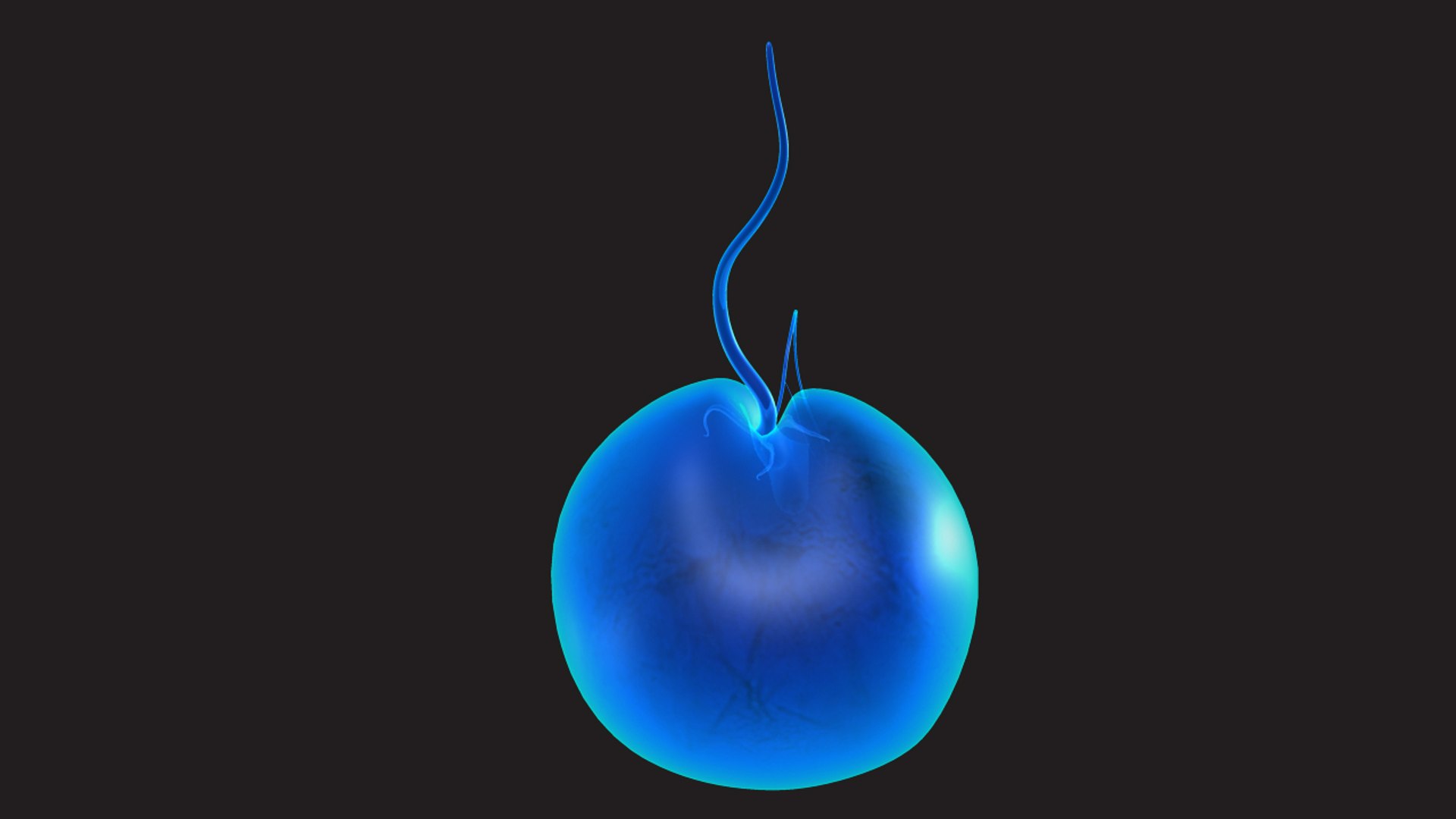 3d Model Of Noctiluca Sea