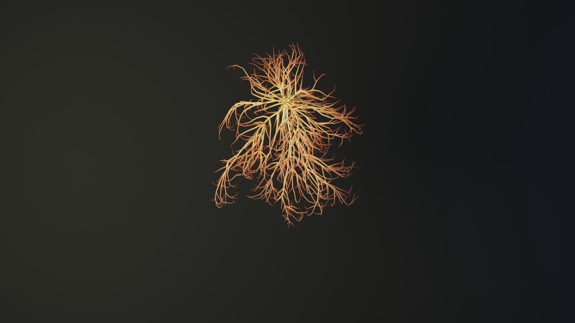3D Human heart unrolling growing animation - TurboSquid 1978678