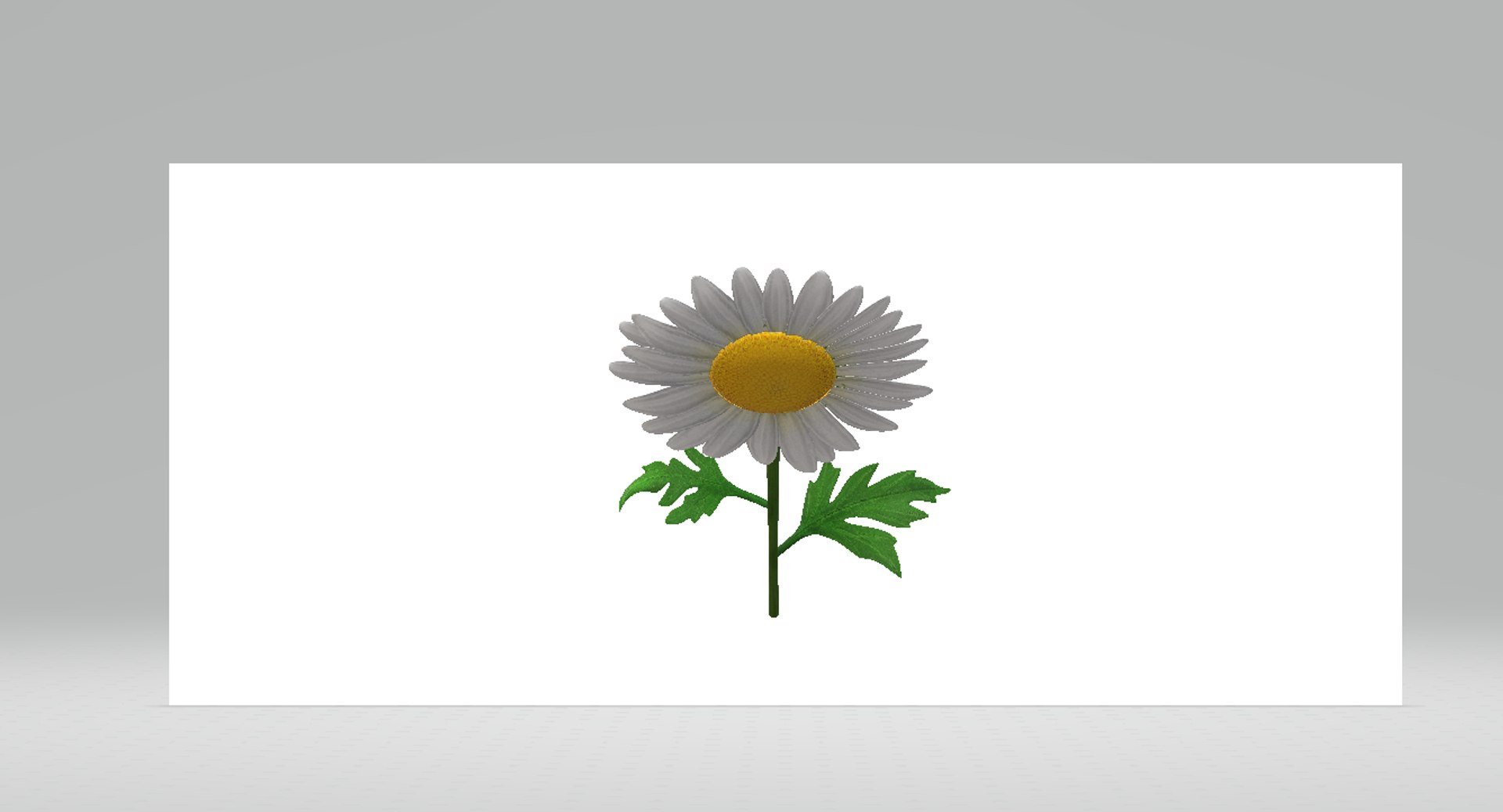 3D Daisy Model - TurboSquid 1242524