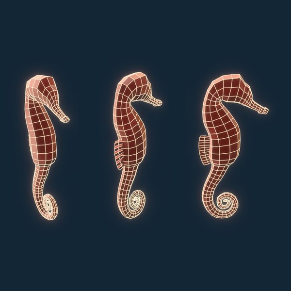 Free Blender Fish Models | TurboSquid